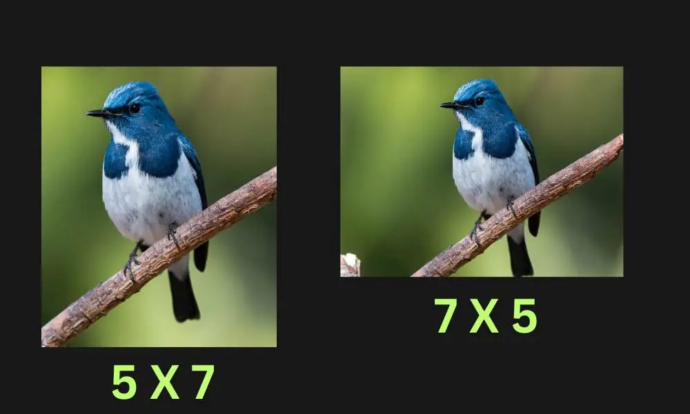 How Big is a 5×7 Photo? Understanding Dimensions in Various Units ...